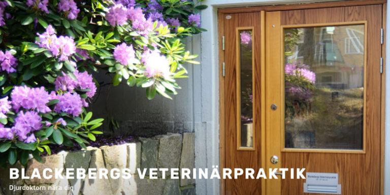 Recension av bbvp.se - husdjurssajten.se